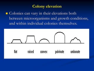4 blood agar and hemolysis and mac-conkey.ppt