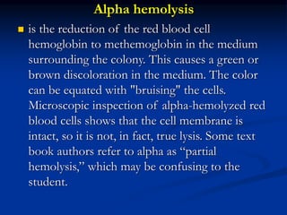4 blood agar and hemolysis and mac-conkey.ppt