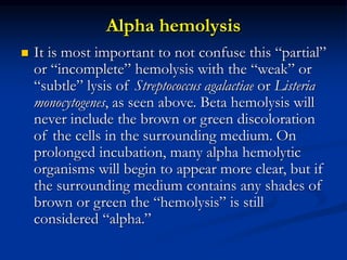 4 blood agar and hemolysis and mac-conkey.ppt