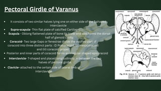 4 bones of animals ca kc.pdfff university | PDF