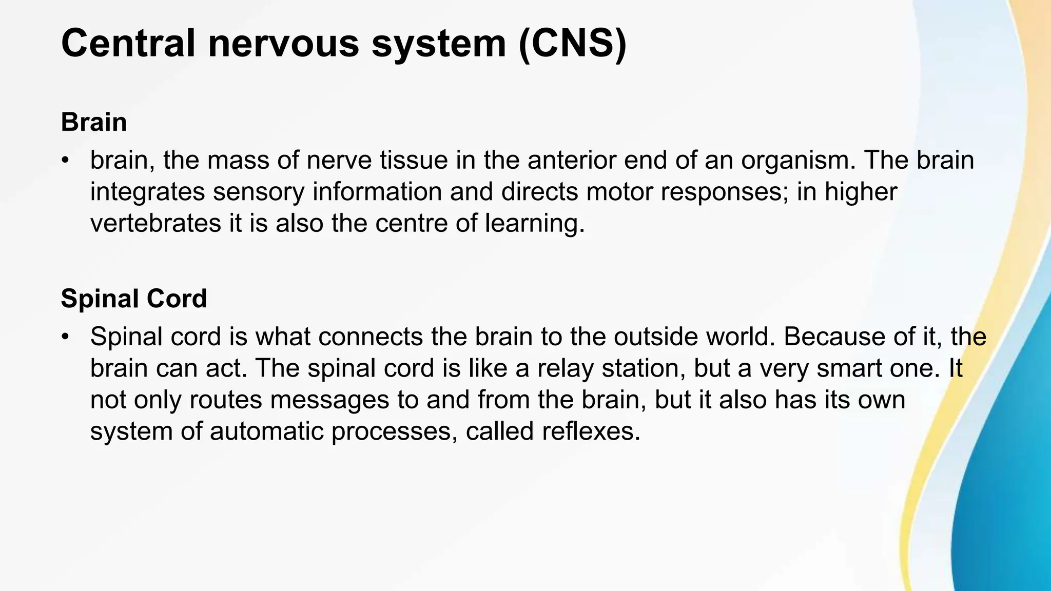4) Brain and Behaviours.pptx