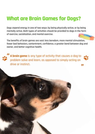 Brain Games for Dog | PDF