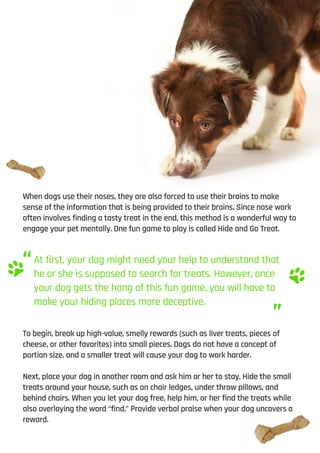 Brain Games for Dog | PDF