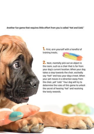 Brain Games for Dog | PDF