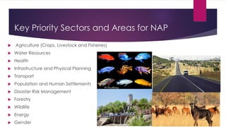 4c.2 Malawi NAP process | PDF