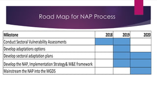 4c.2 Malawi NAP process | PDF