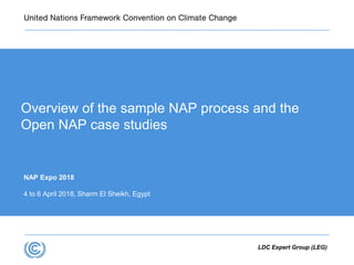 4c.1 Overview of the NAP process and the Open NAP case studies | PDF