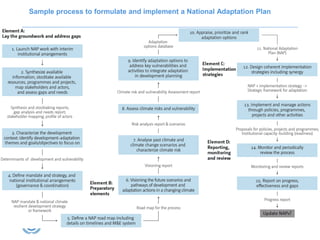 4c.1 Overview of the NAP process and the Open NAP case studies | PDF