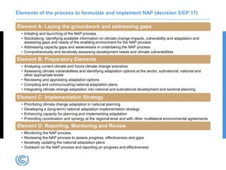4c.1 Overview of the NAP process and the Open NAP case studies | PDF