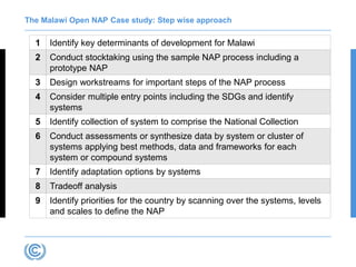 4c.1 Overview of the NAP process and the Open NAP case studies | PDF