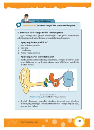 4c. Mekanisme Pendengaran pada Manusia dan hewan.pdf