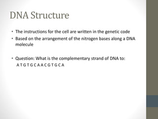 4c dna and protein | PPT