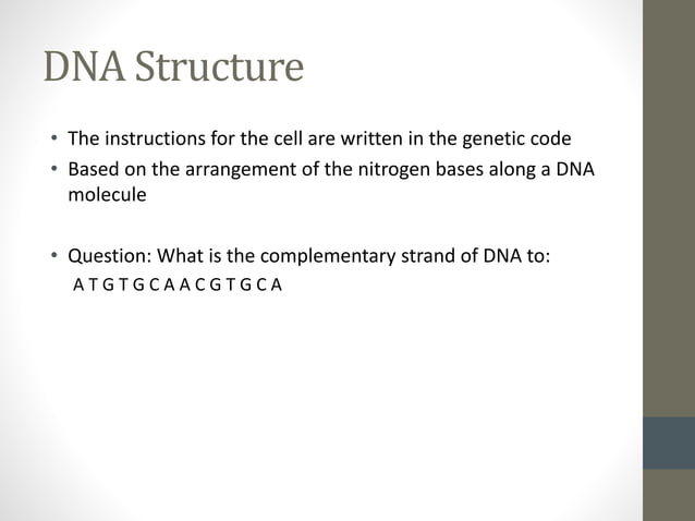 4c dna and protein | PPT