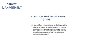 airway management part-3.-Anesthesia | PDF