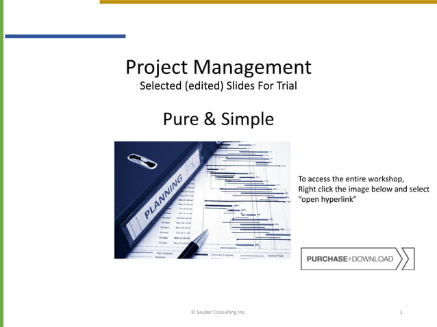 Project Management Demo | PPT