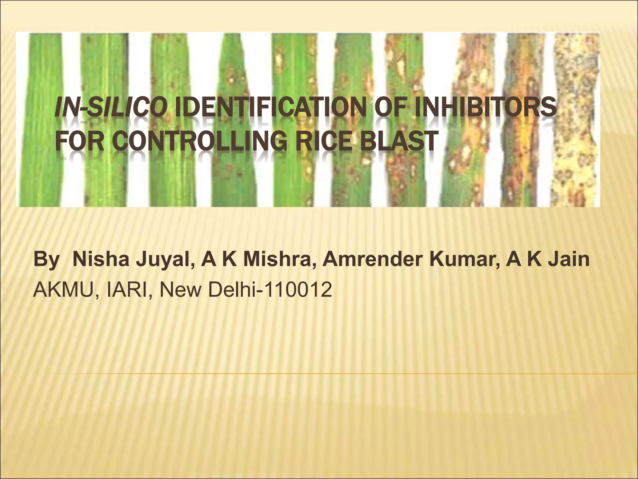 In-Silico Identification of inhibitors for Controlling Rice Blast | PPT