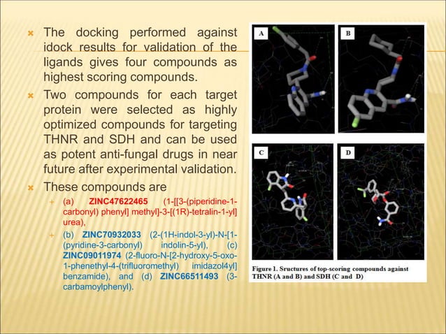 In-Silico Identification of inhibitors for Controlling Rice Blast | PPT
