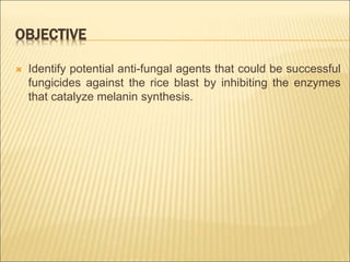 In-Silico Identification of inhibitors for Controlling Rice Blast | PPT