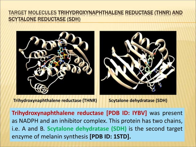 In-Silico Identification of inhibitors for Controlling Rice Blast | PPT