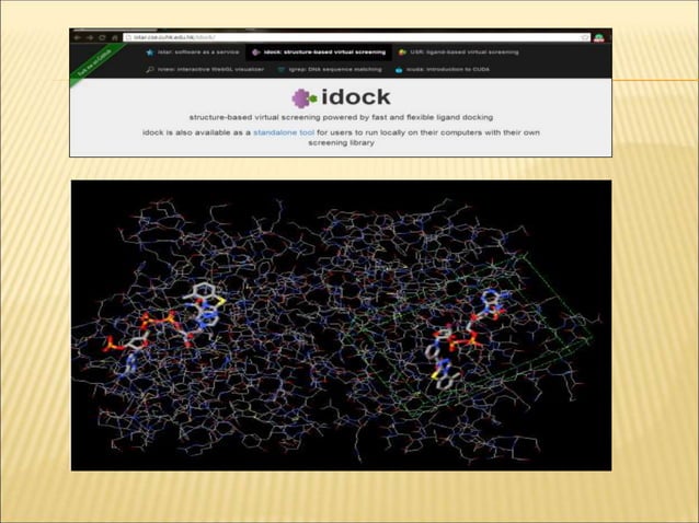 In-Silico Identification of inhibitors for Controlling Rice Blast | PPT