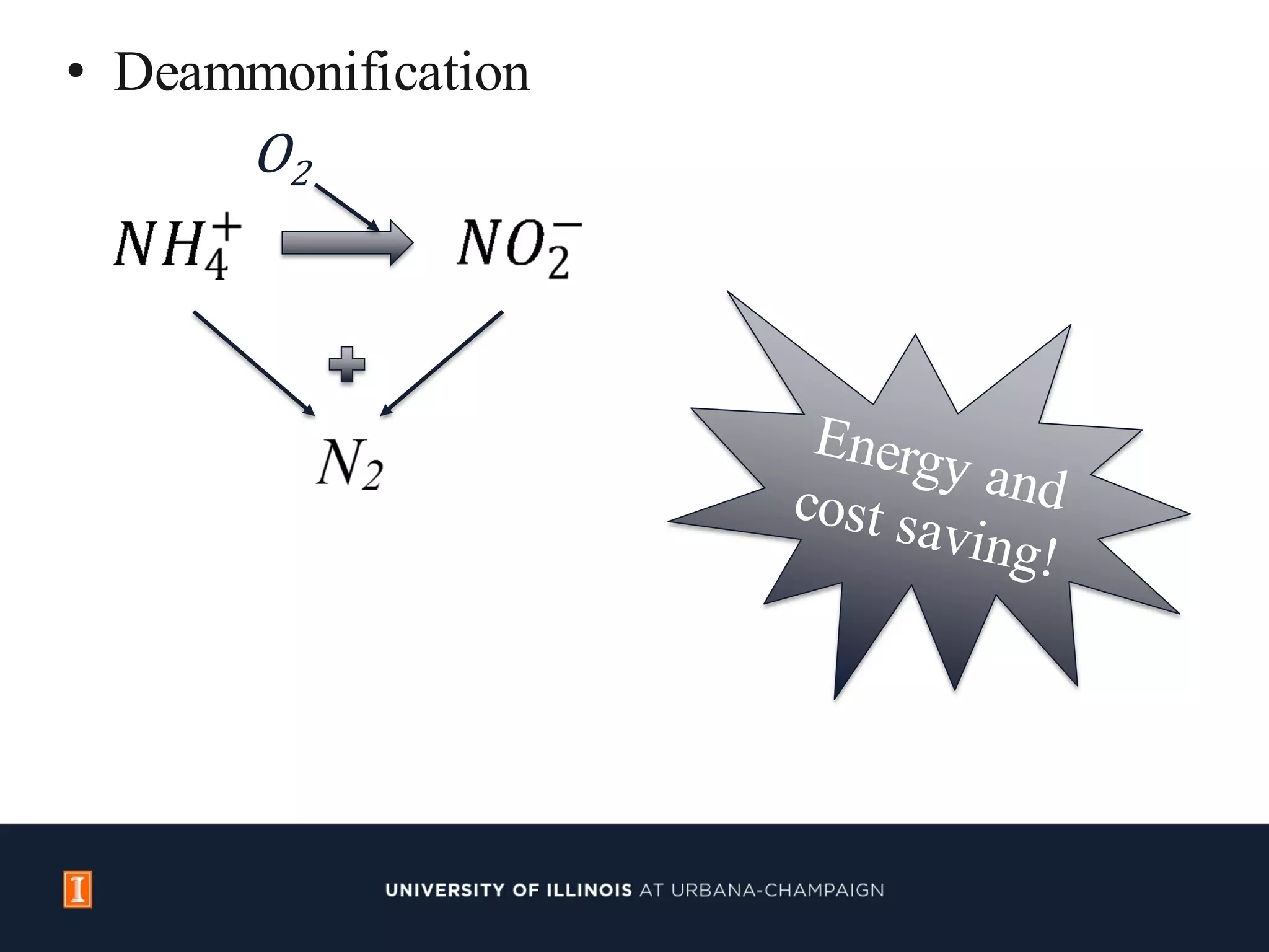 Anammox Process for Nitrogen Removal from Wastewater | PDF