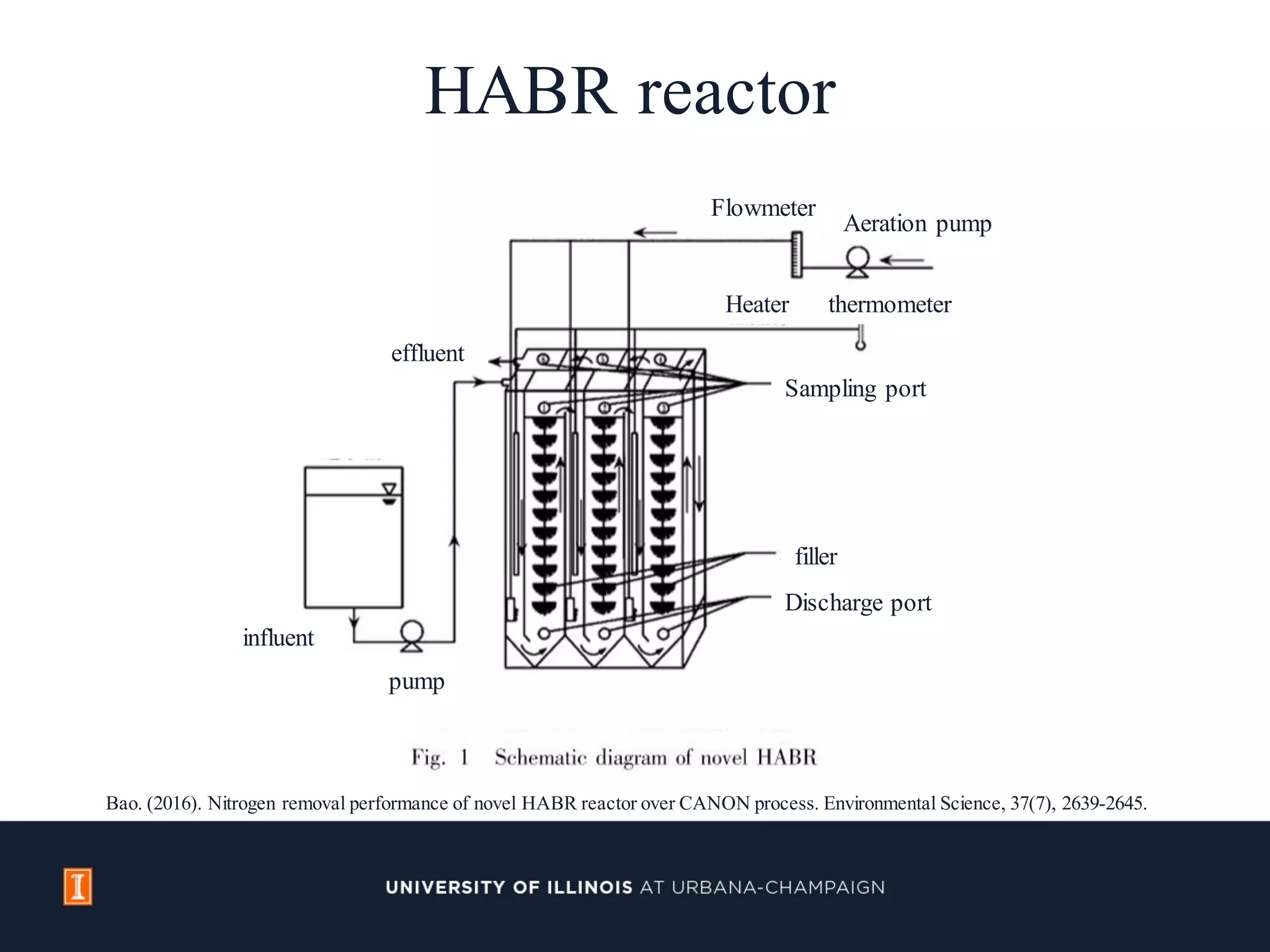 Anammox Process for Nitrogen Removal from Wastewater | PDF