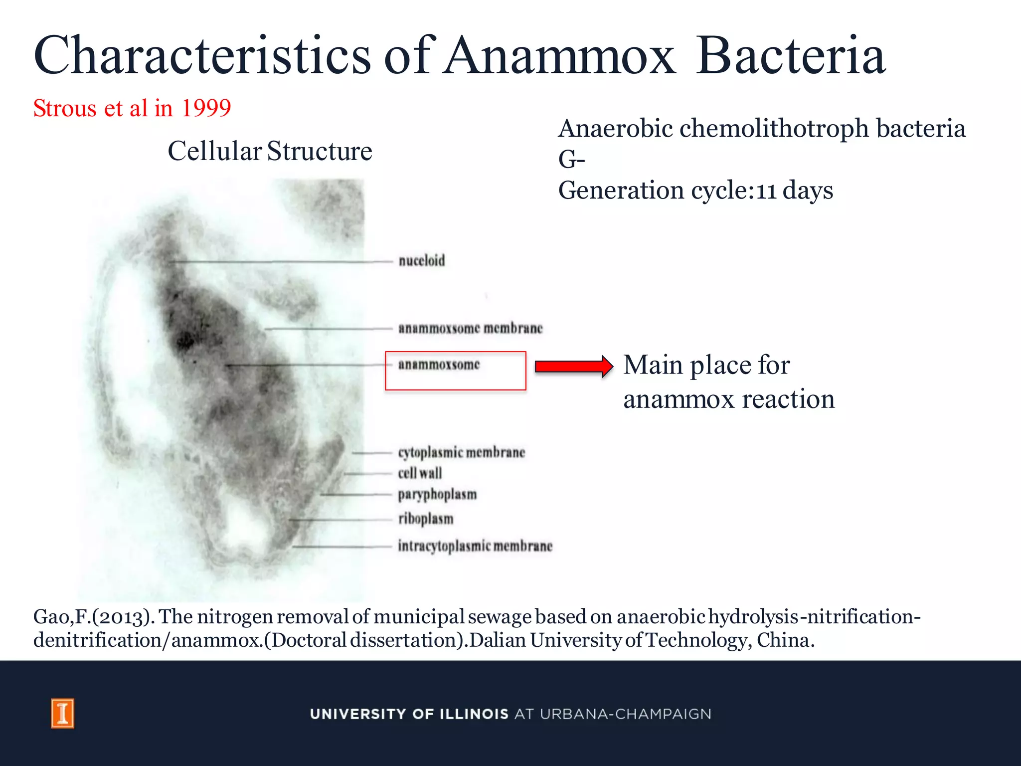 Anammox Process for Nitrogen Removal from Wastewater | PDF