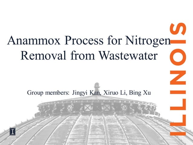 Anammox Process for Nitrogen Removal from Wastewater | PDF