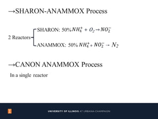 Anammox Process for Nitrogen Removal from Wastewater | PDF