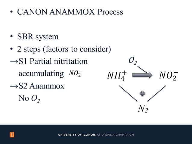 Anammox Process for Nitrogen Removal from Wastewater | PDF