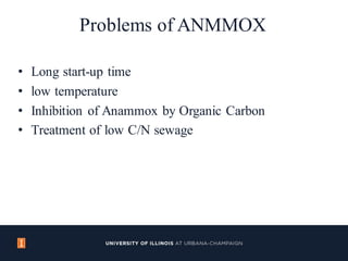 Anammox Process for Nitrogen Removal from Wastewater | PDF