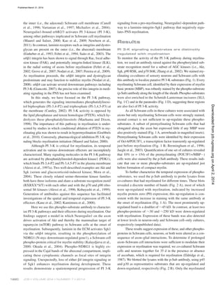 2014 IP3K J Cell Biol-2014-Heller-1219-36 | PDF