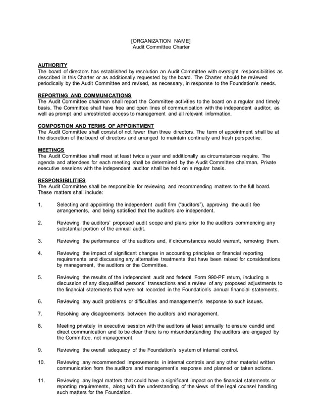 Audit Commmitte Charter-Template | PDF