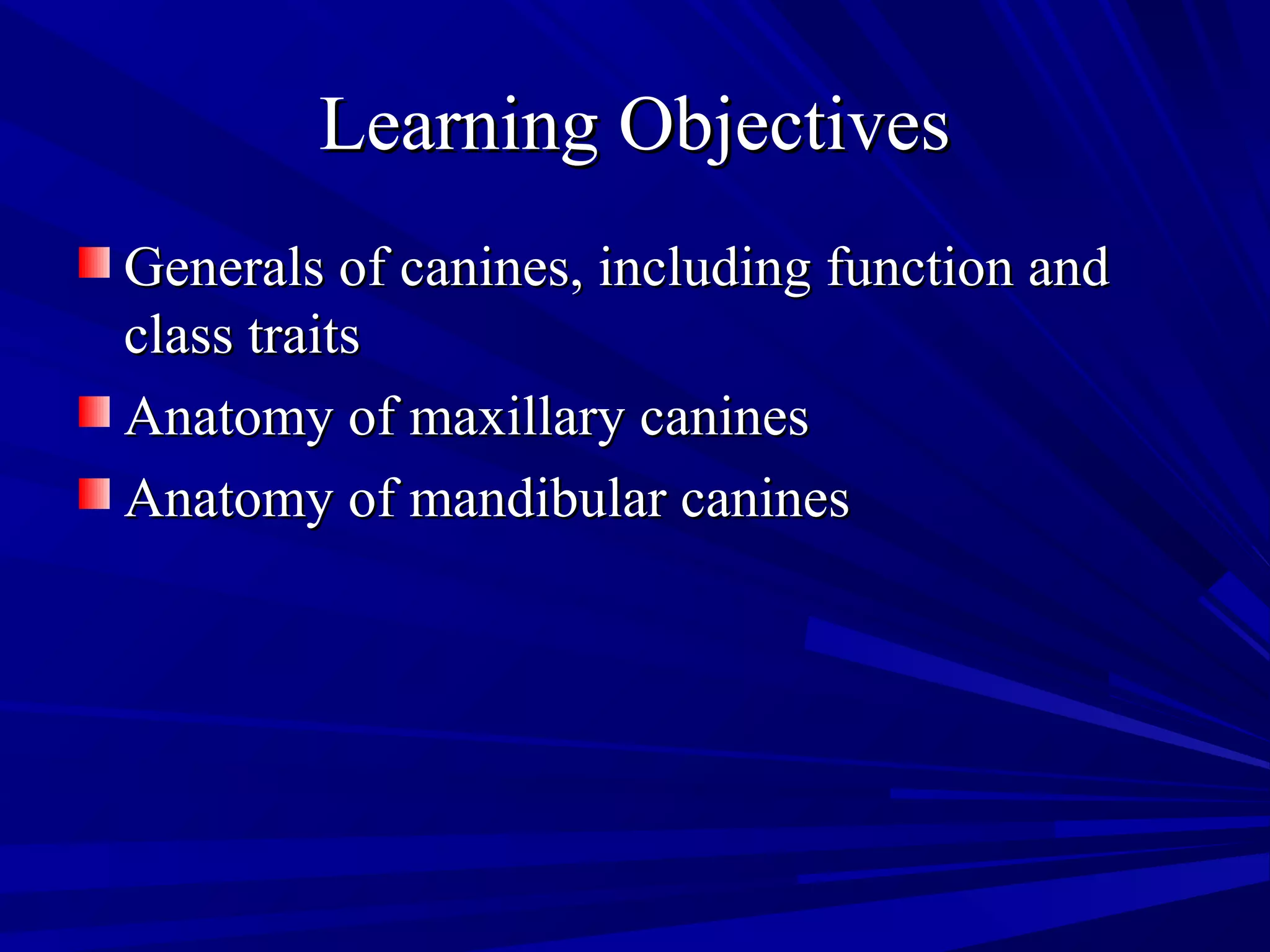 Maxillary and Mandibular Canines | PPT