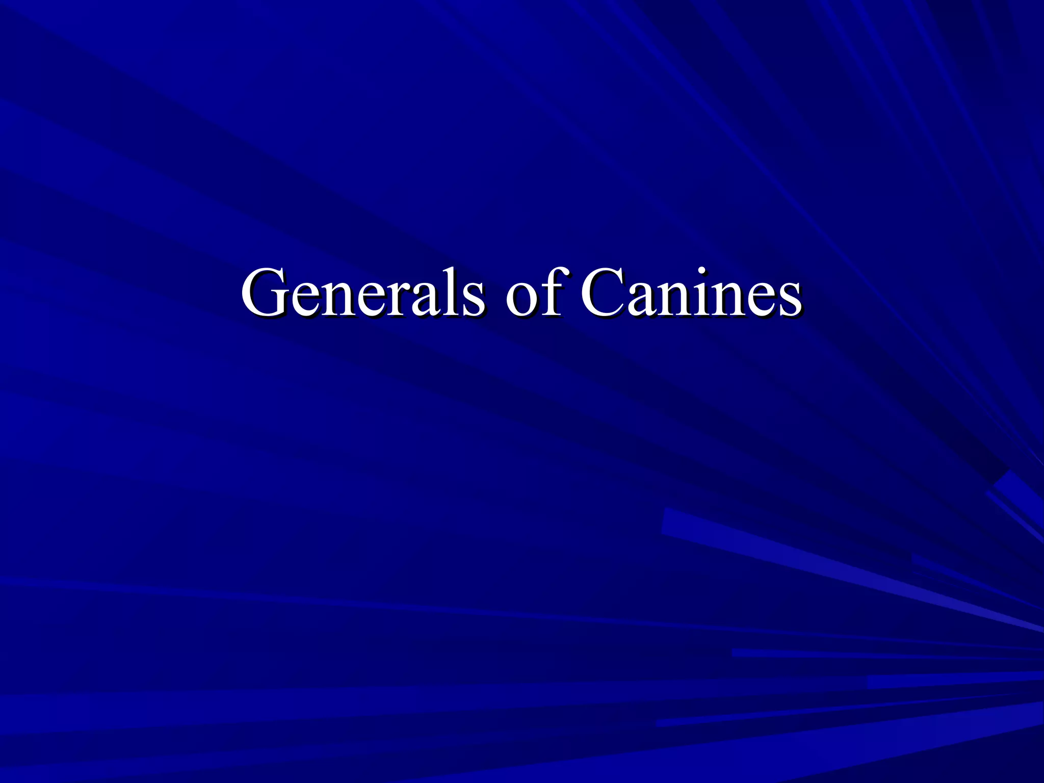 Maxillary and Mandibular Canines | PPT