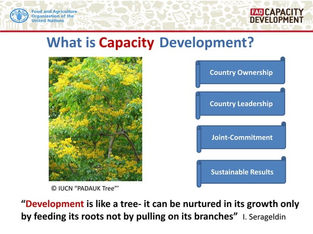 Capacity Development for Effective Integration of Agriculture into ...