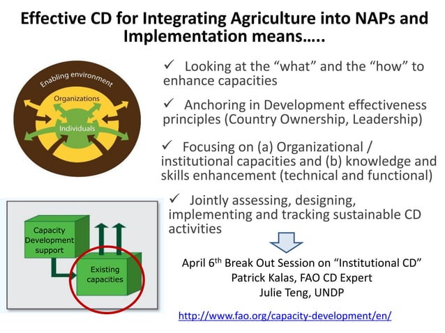 Capacity Development for Effective Integration of Agriculture into ...