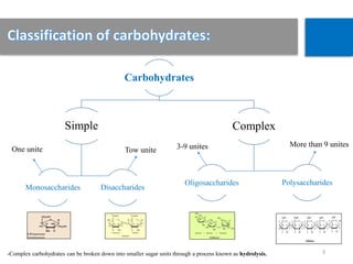 4_carbohydrate- covering its all concepts | PDF