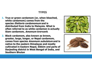 4 Cardamom AB.pdf