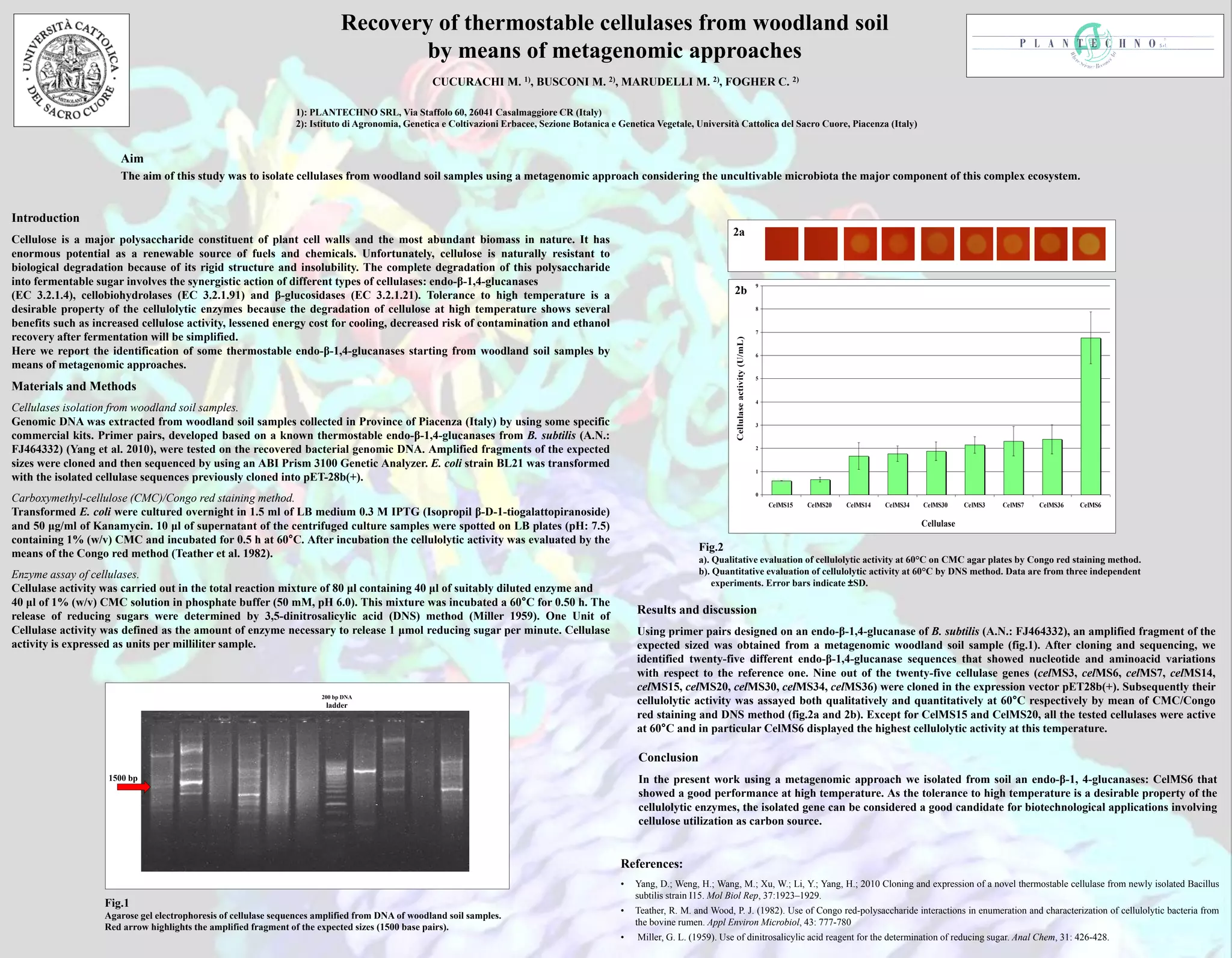 posterSiga11-Cellulasi | PDF | Chemistry | Science