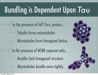 SIMS Research X-Ray Characterization of Tau Induced Microtubule Bundles ...