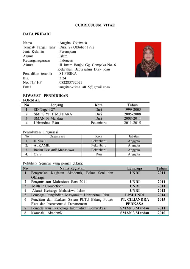 Curriculum Vitae Anggita | PDF