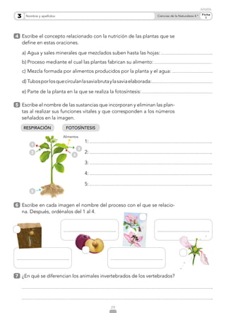 naturales 4 primaria ed. Anaya fichas Refuerzo | PDF