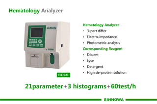 Sinnowa brief PPT | PPSX