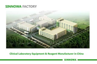 Sinnowa brief PPT | PPSX