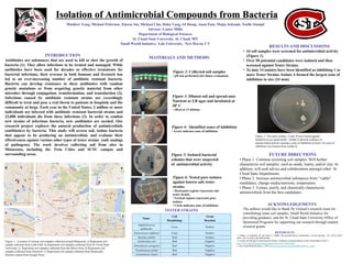 Antibiotic Research Poster (2) | PPT