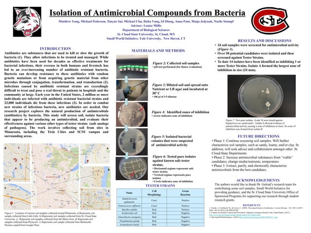 Antibiotic Research Poster (2) | PPT