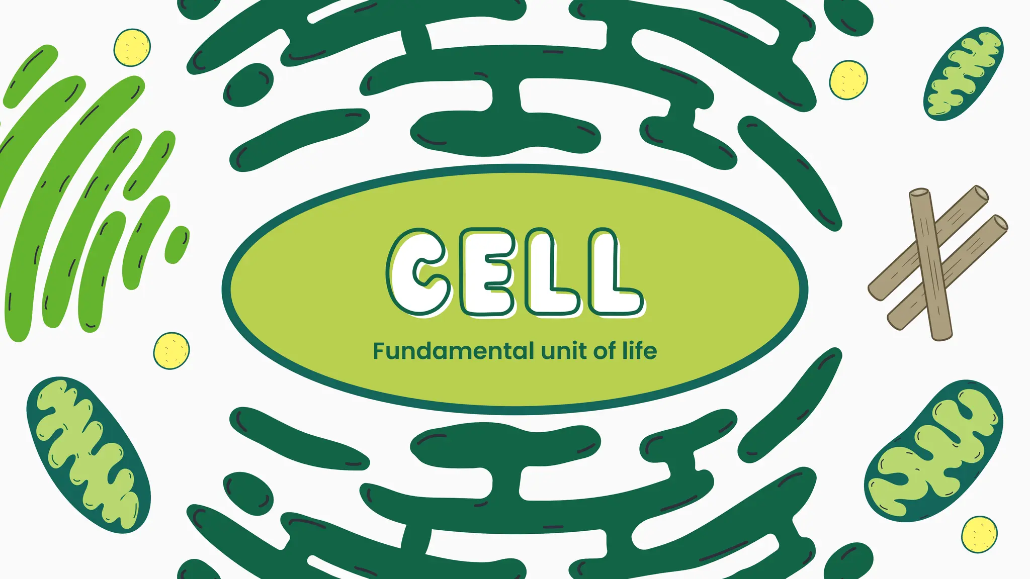 4_Cell as the basic unit of Life(structure and basic functions) | PDF
