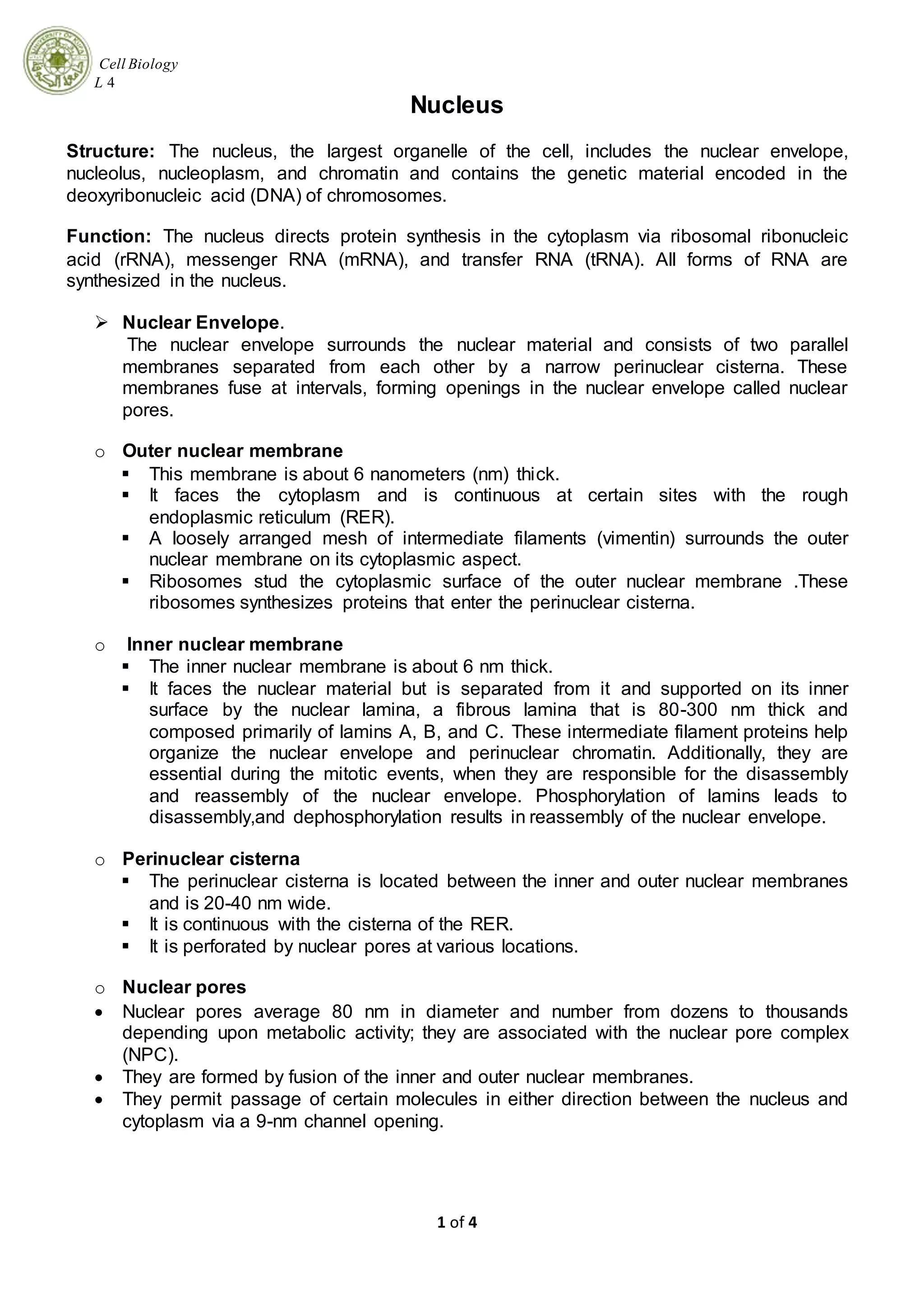 Nucleus | DOC | Biological Sciences | Science