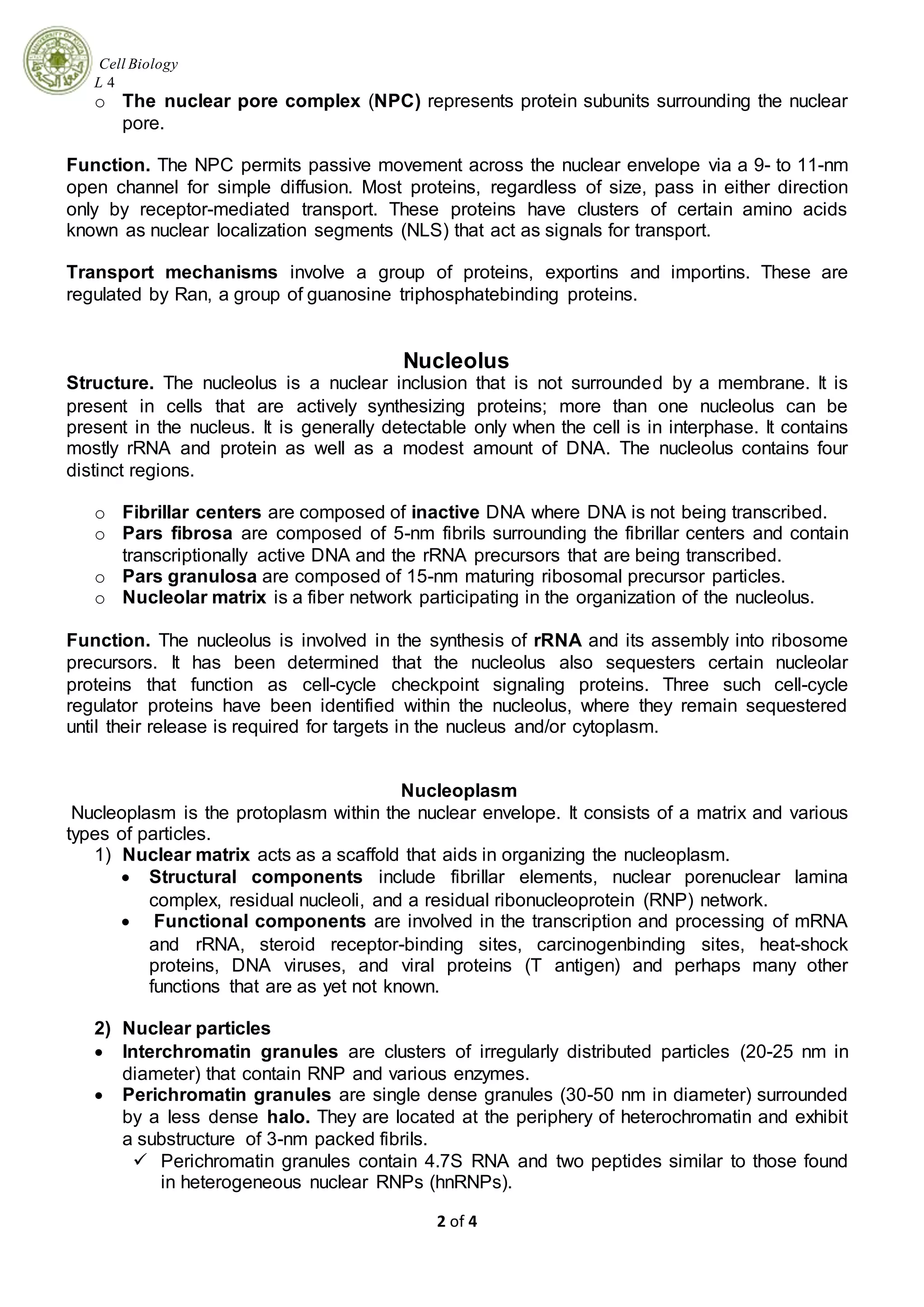 Nucleus | DOC | Biological Sciences | Science